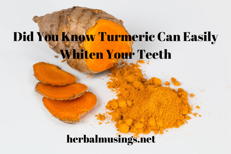 Did You Know Turmeric Can Easily Whiten Your Teeth - Herbal Musings