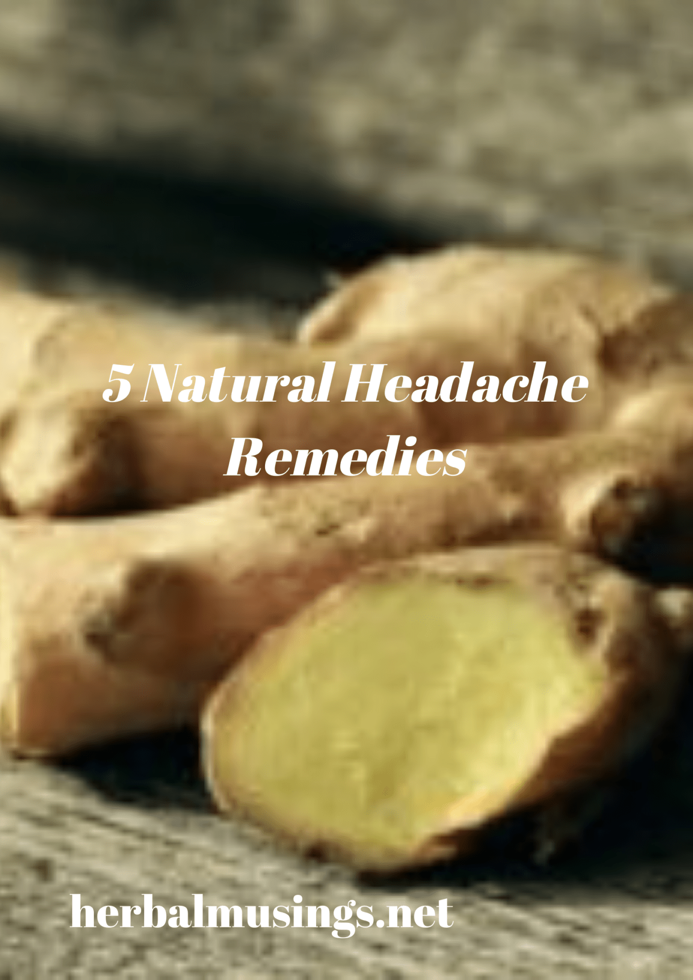 5 Natural Headache Remedies Herbal Musings