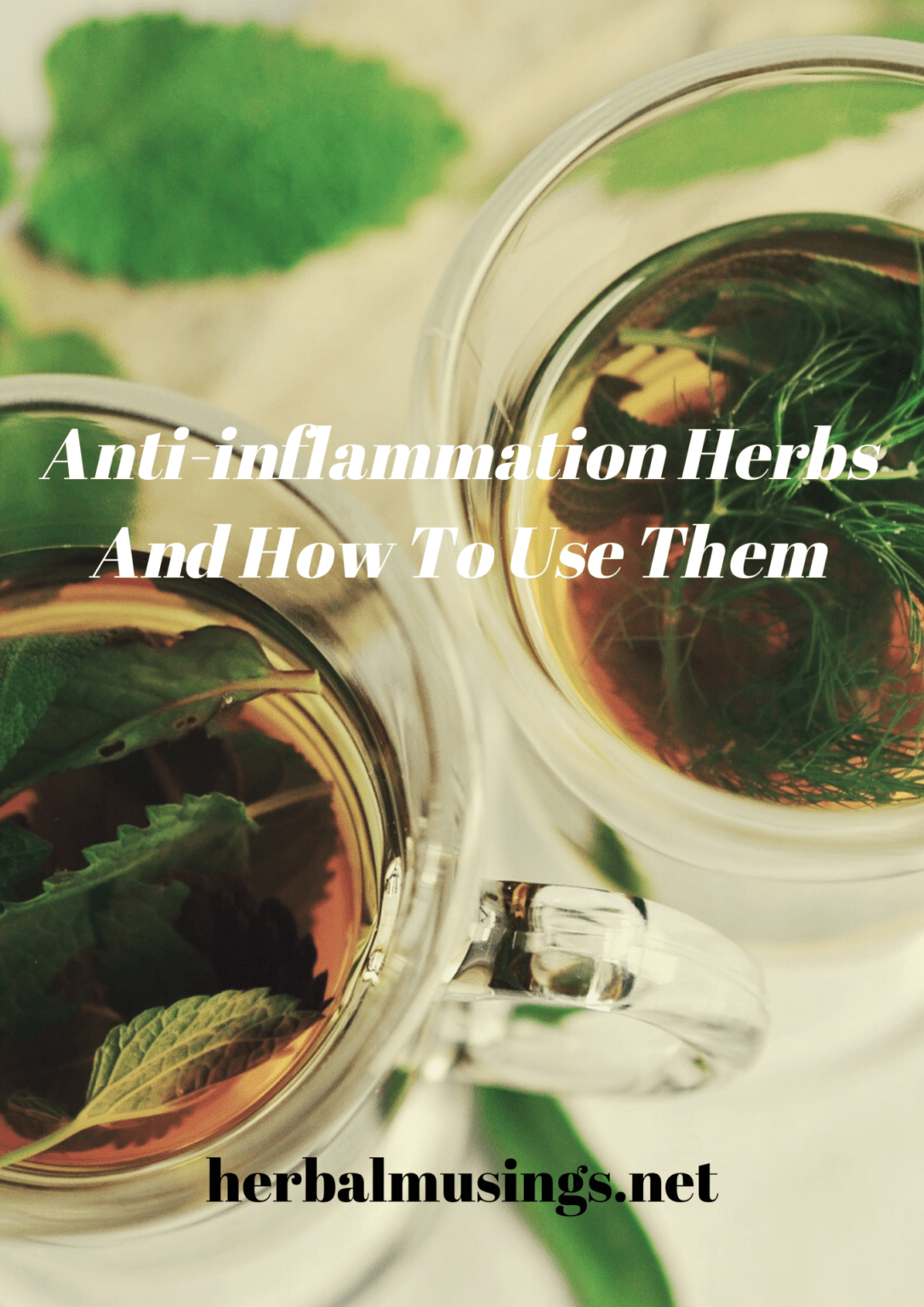 Anti-inflammation Herbs And How To Use Them - Herbal Musings