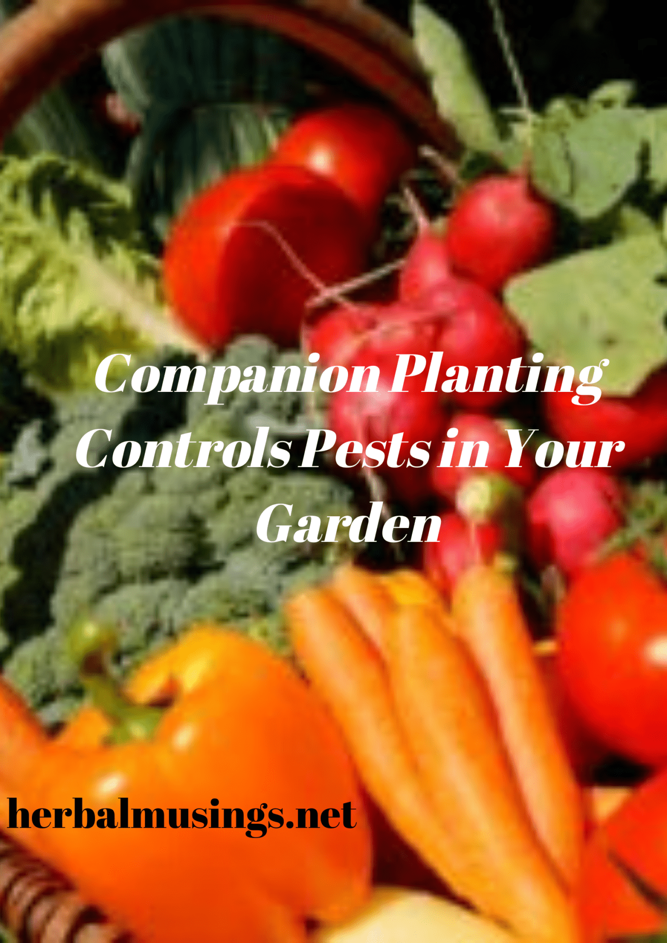 Companion Planting Controls Pests in Your Garden - Herbal Musings