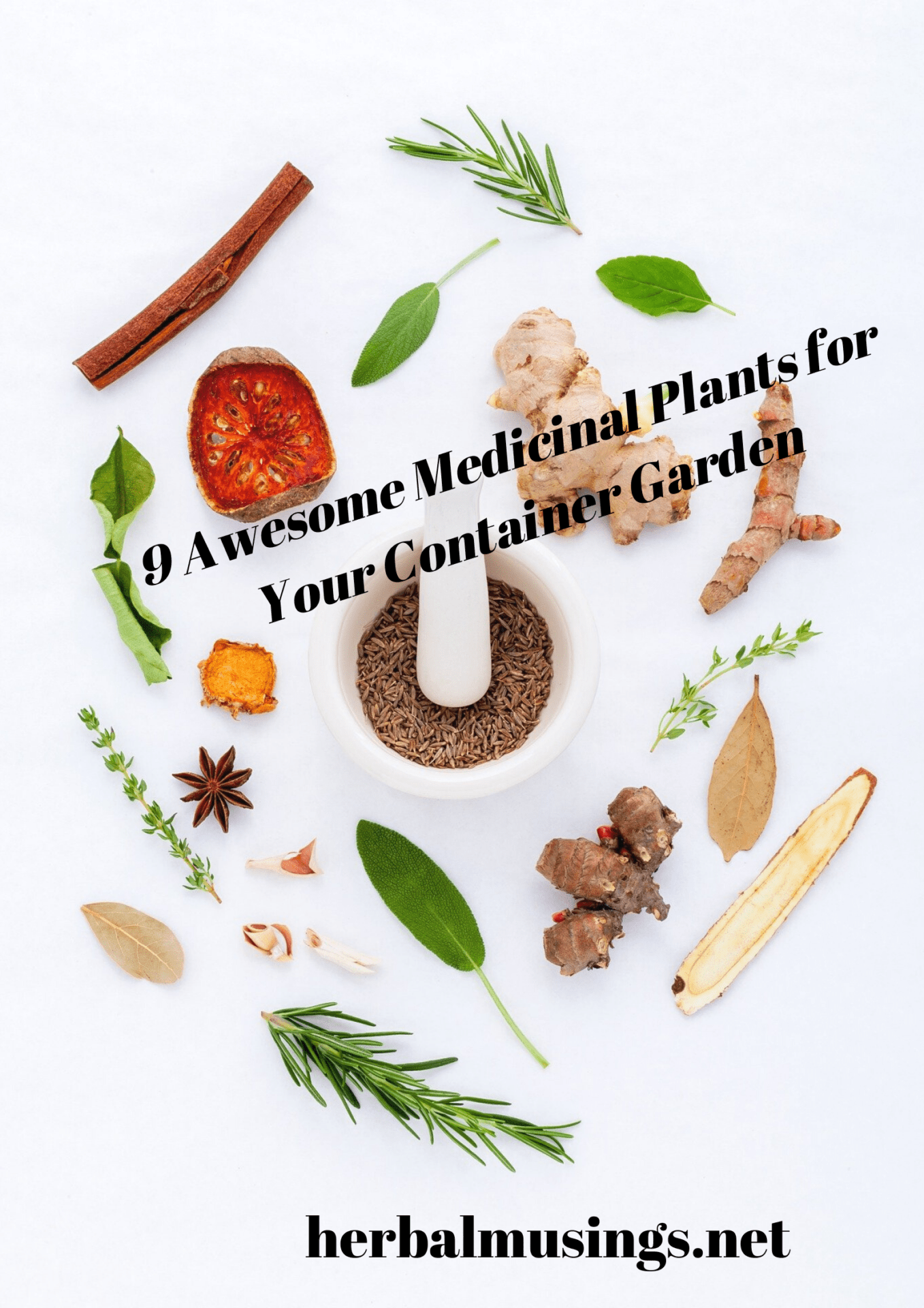 9 Awesome Medicinal Plants for Your Container Garden - Herbal Musings